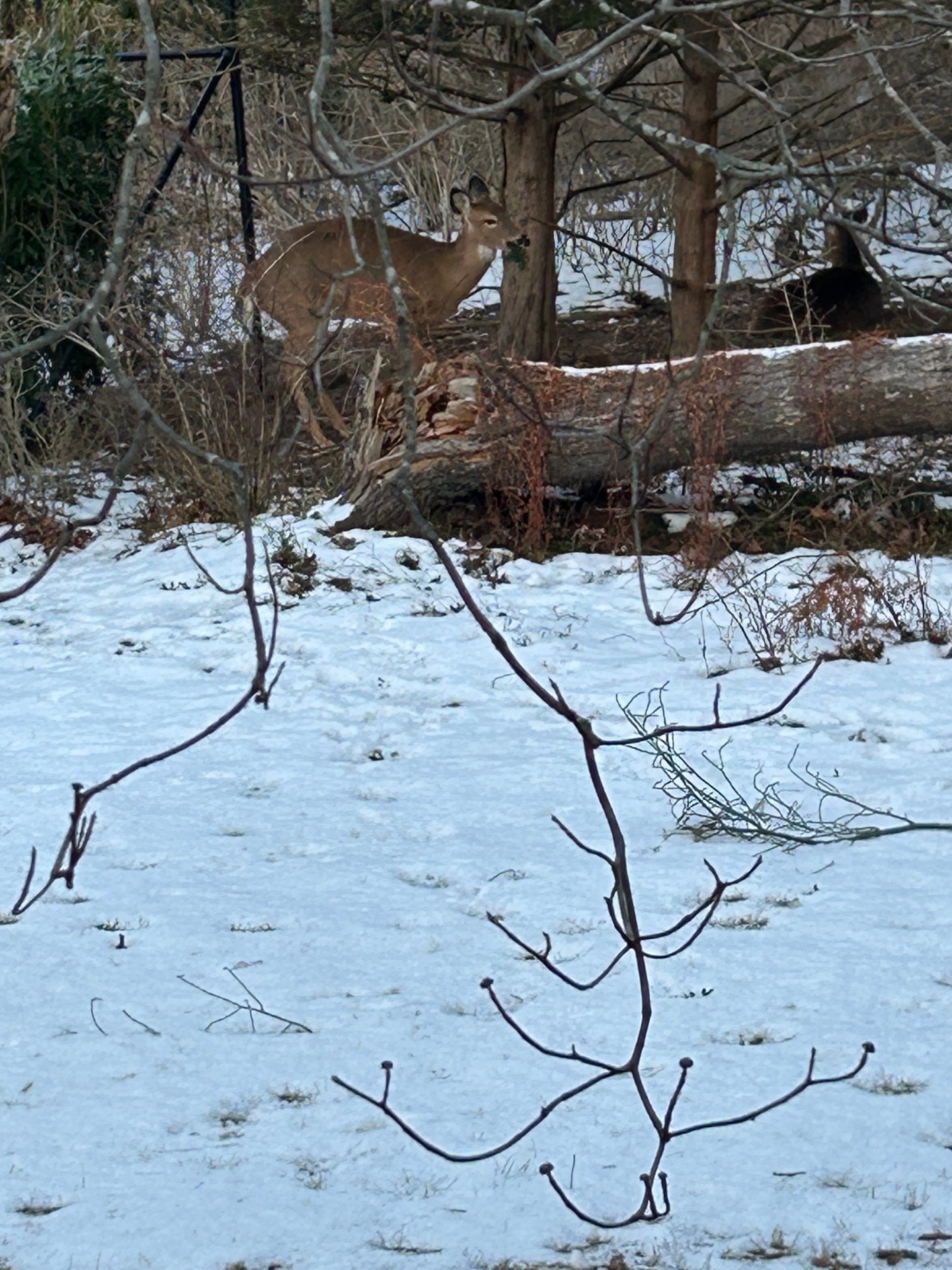 2 Epiphany 26 – St. James Episcopal Church Brookhaven, NY